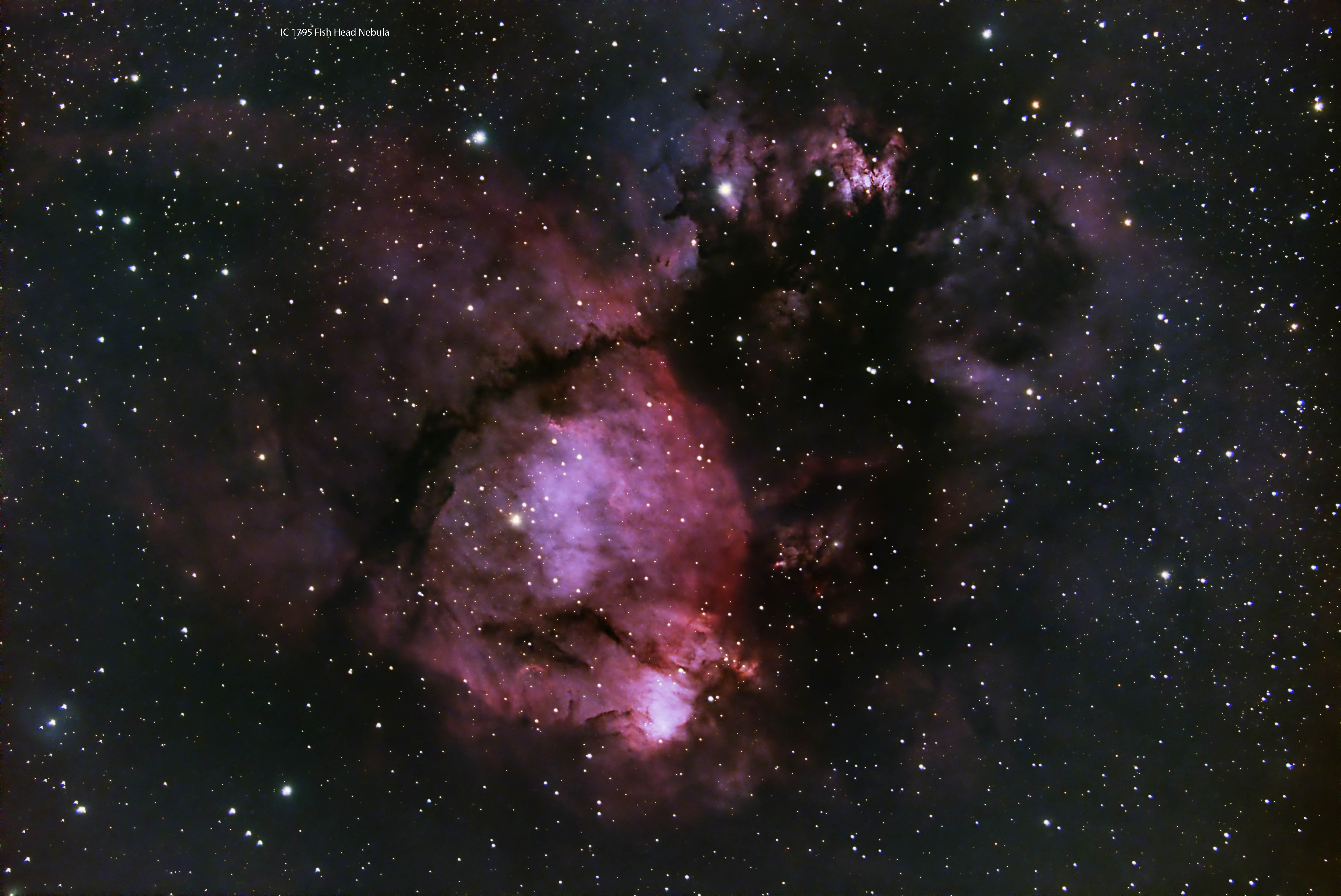 Menard Astro Photography