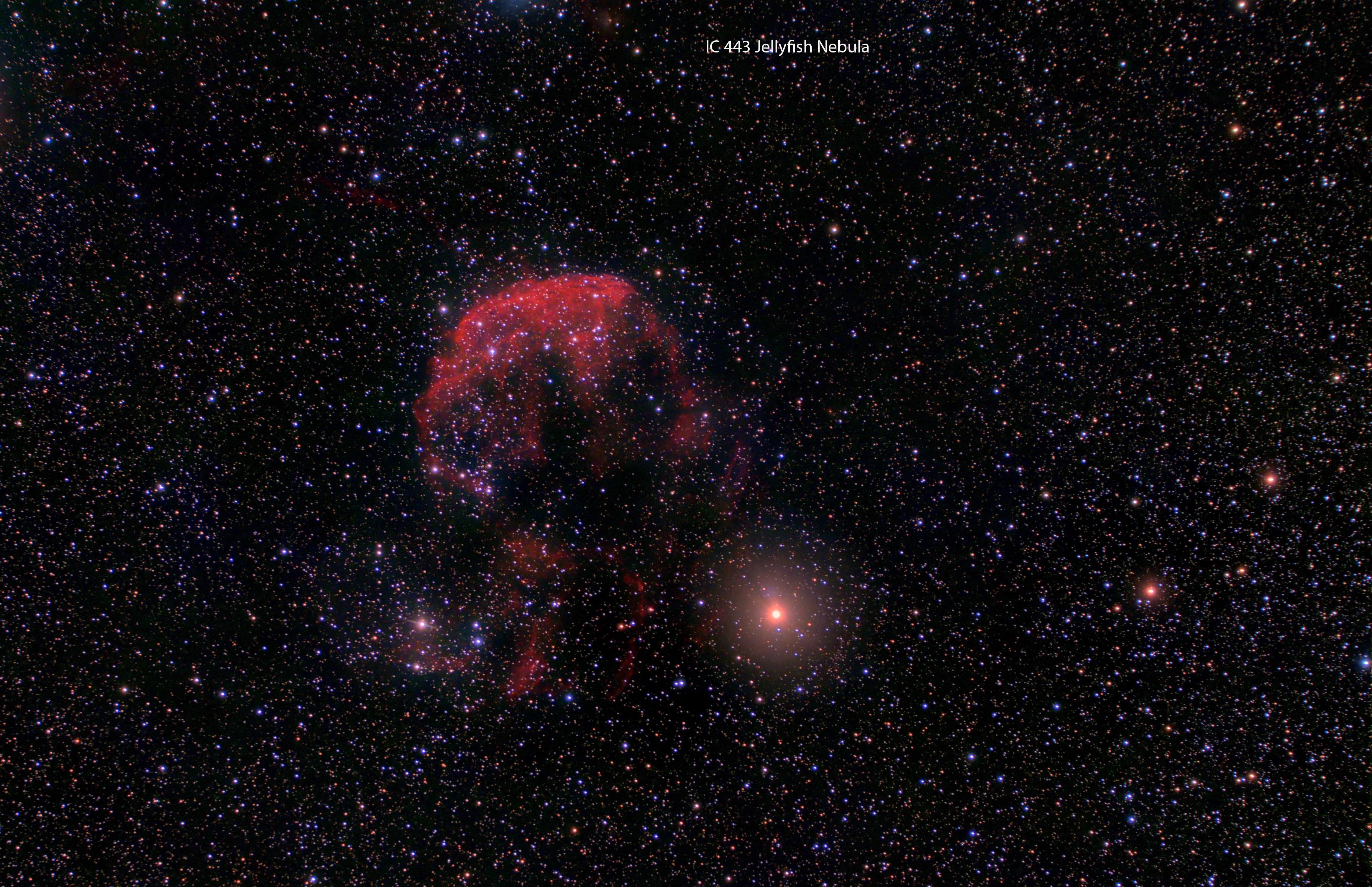 Menard Astro Photography