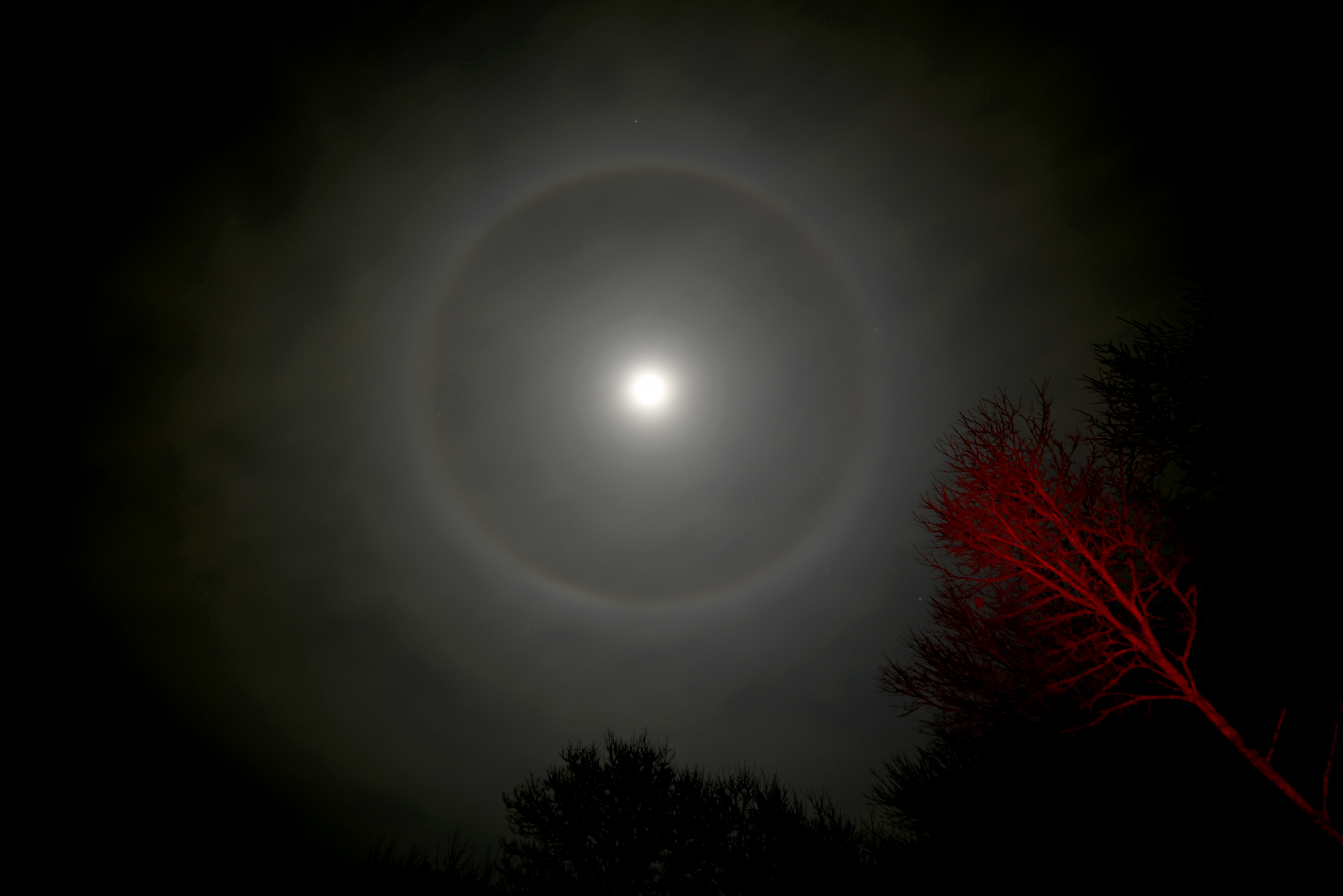 Menard Astro Photography