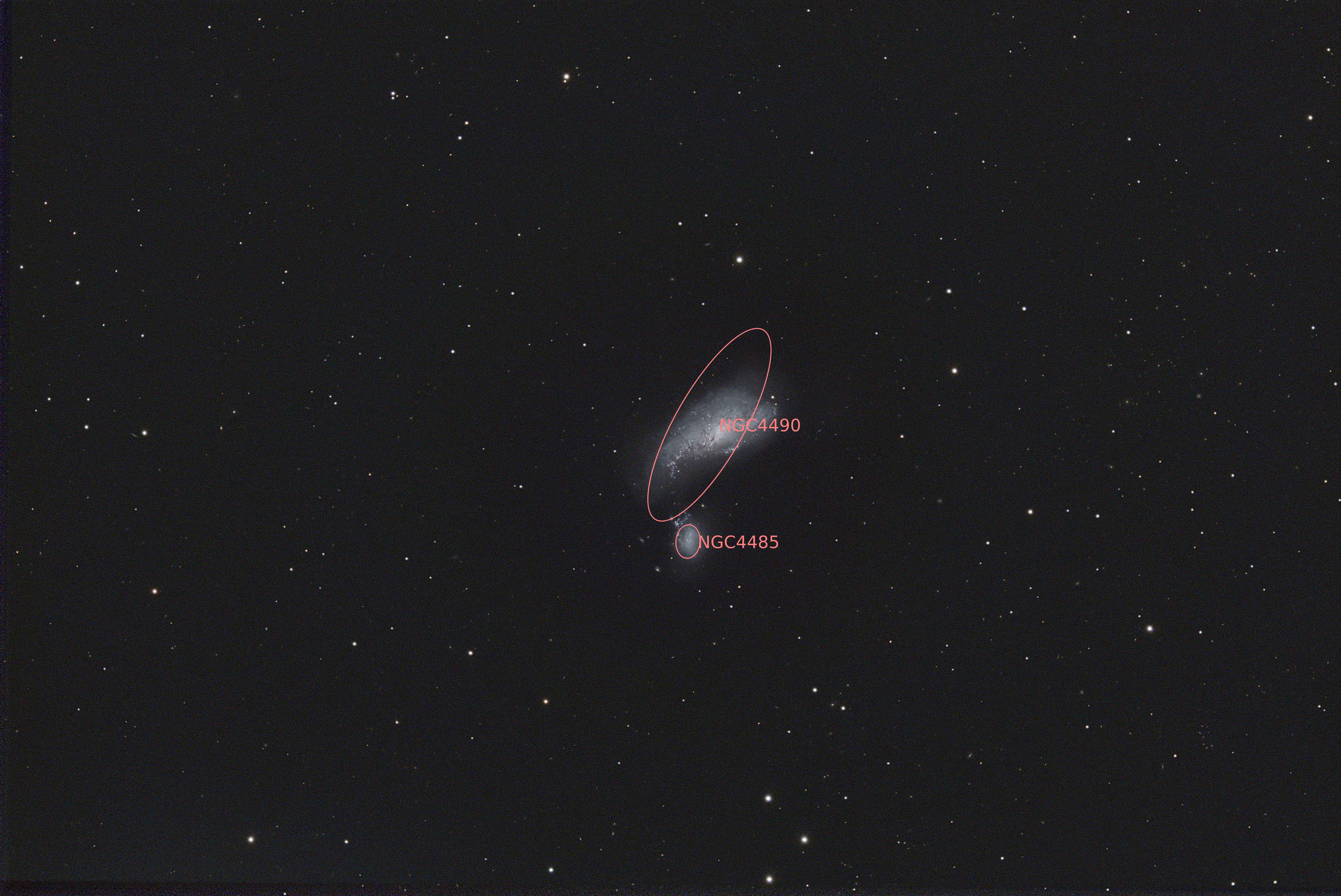 NGC 4490 Description